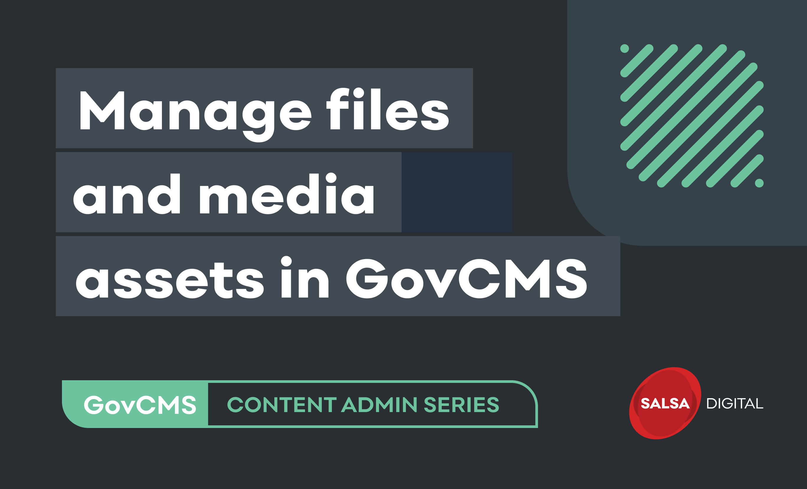 View and manage files and media assets in GovCMS | Salsa Digital